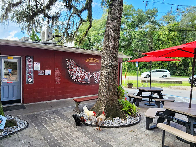 Outdoor seating where you can commune with nature... and by nature, we mean BBQ and a local rooster.