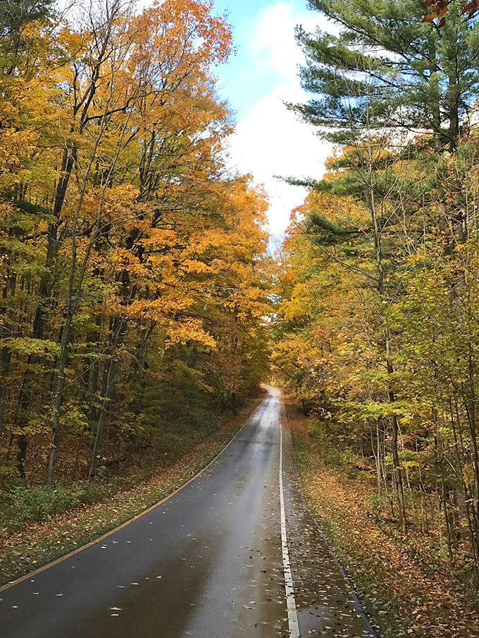 Fall's red carpet! This winding road invites you to cruise through a tunnel of autumn splendor that'll leave you leaf-struck.
