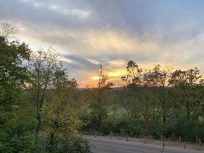 "Mother Nature's daily light show, brought to you by the sun and these magnificent trees. No ticket required!"