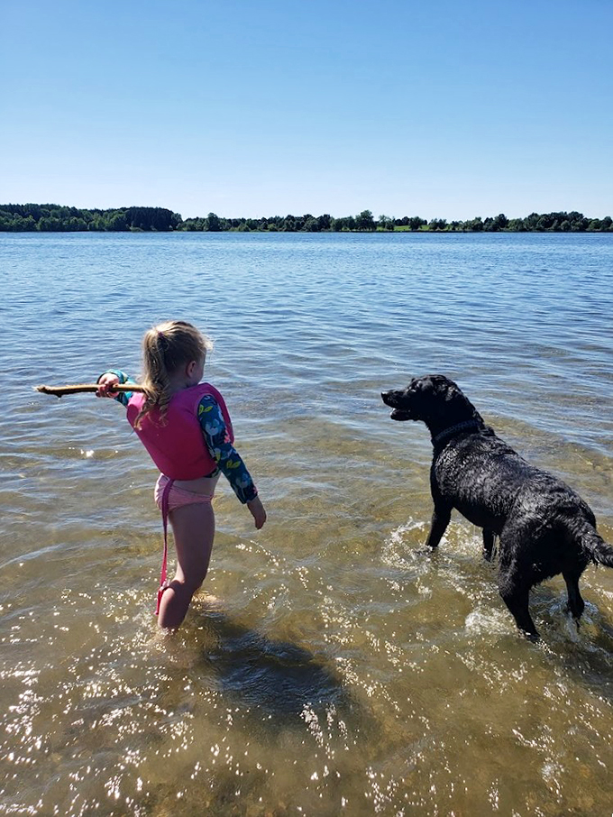Who needs a water park when you've got a lake and a loyal pup? Pure Michigan joy, served up with a side of wet dog smell.