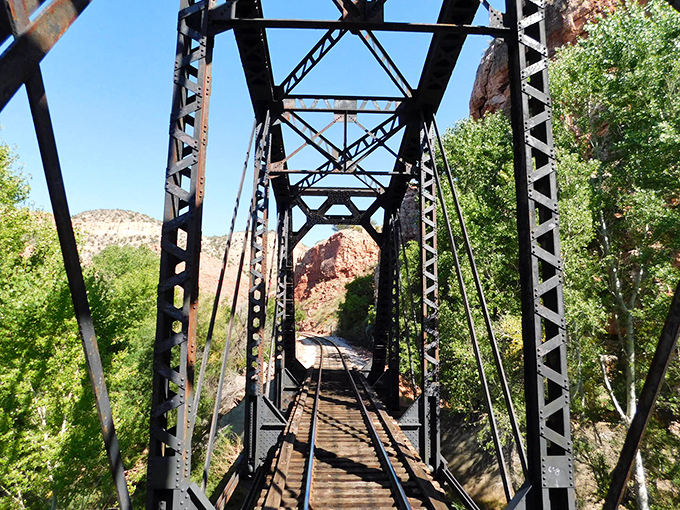 Bridging the gap between past and present, this iron giant stands as a testament to human ingenuity and nature's enduring beauty.