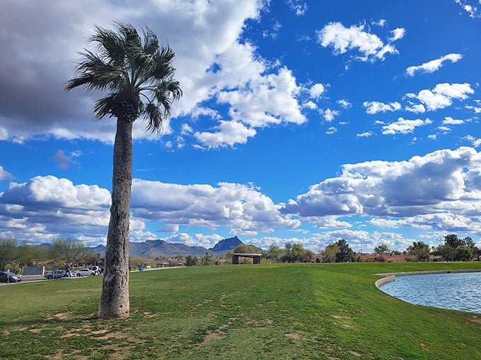 Desert meets recreation in this thoughtfully designed space, where every path leads to another beautiful vista.