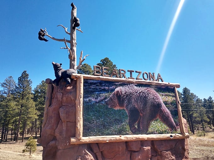 Lights, camera, bear-ction! This larger-than-life display brings the wilderness right to your windshield.
