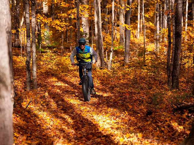 Autumn's canvas unfurls as a lone cyclist carves through fallen leaves. It's like riding through a Bob Ross painting, but with more pedaling.
