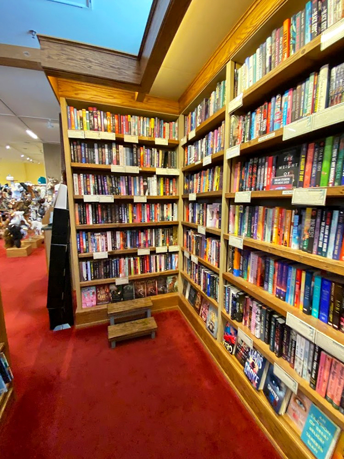 A reader's paradise where every shelf tells its own story, and every corner holds a new literary discovery.