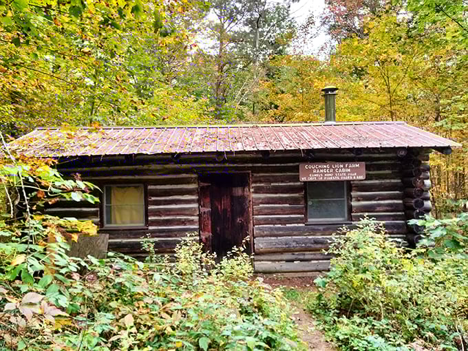 Rustic charm meets forest chic. This ranger cabin looks like it could be the setting for a Wes Anderson film about quirky park rangers.