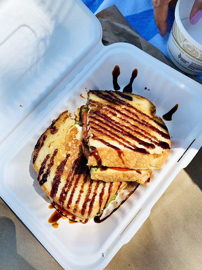 Dark balsamic drizzle creates edible art on this grilled sandwich, making lunch look like a museum masterpiece.
