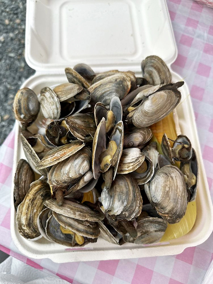 These steamers are ready for their close-up, showing off those beautiful shells that hide treasures within. Photo credit: Lisa R.