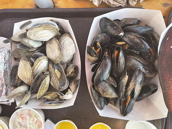 Nature's bounty in black and white: fresh clams and mussels ready for their butter bath. Photo credit: Will Homie
