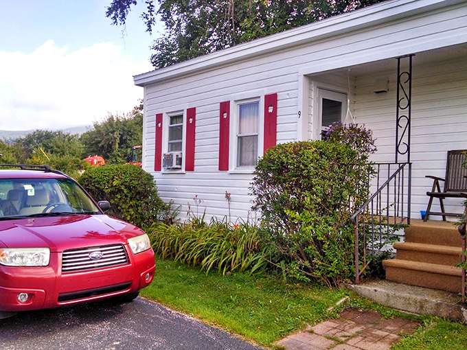 Red car, meet red apples! This classic ride seems right at home among the orchard's bounty. Talk about farm-to-table transportation!