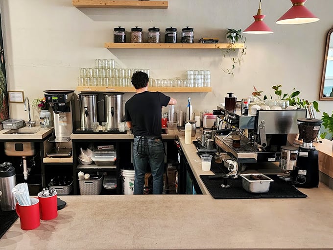 Behind this counter, coffee wizardry happens daily&mdash;turning ordinary beans into liquid motivation with scientific precision. 