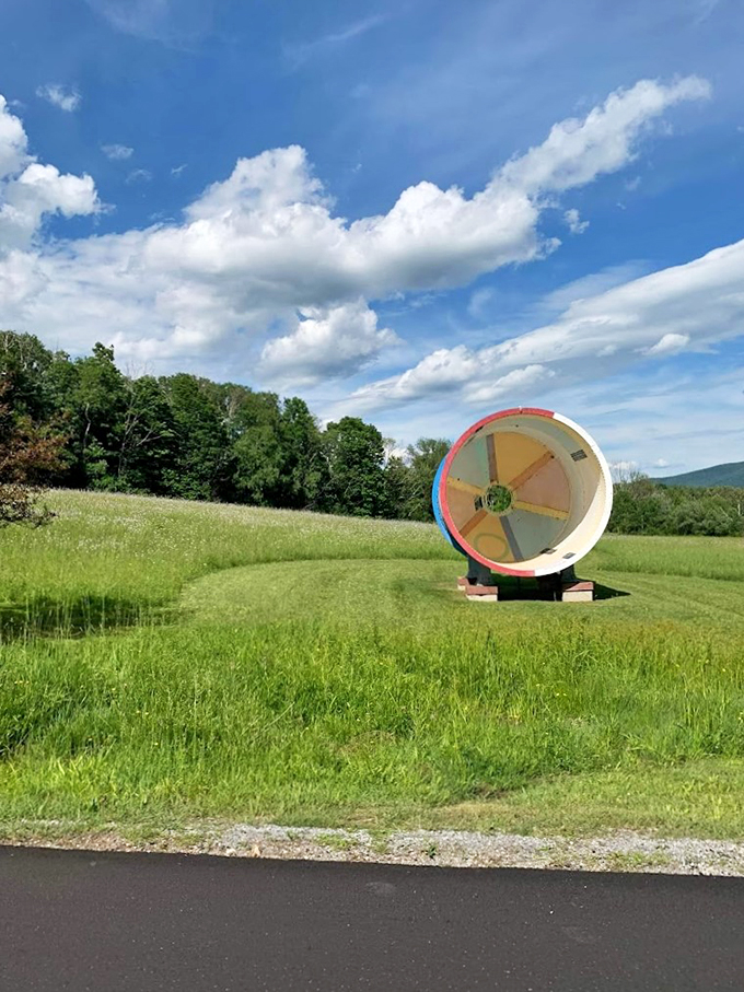 This colorful disk is like a game show for the great outdoors. What prize will Mother Nature win today?
