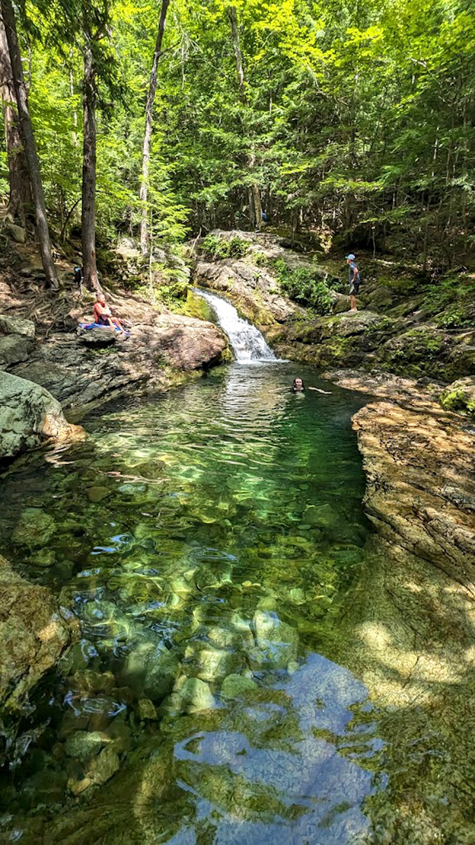 Swimmers find refreshing refuge in this natural pool, where forest meets water in perfect harmony.