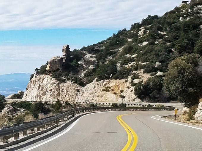 This road wasn't built - it was choreographed, dancing its way through the Catalina Mountains with graceful curves.