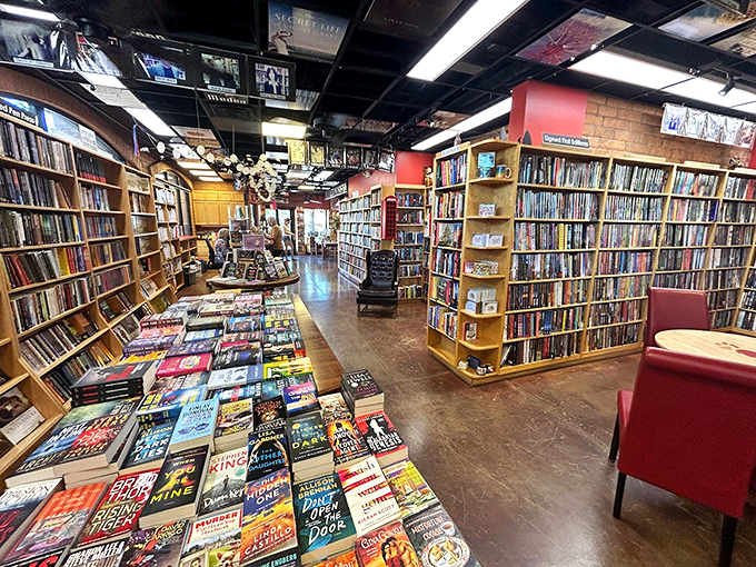 Books, books everywhere, and every drop to read! Navigate this sea of stories with the help of friendly literary lifeguards.
