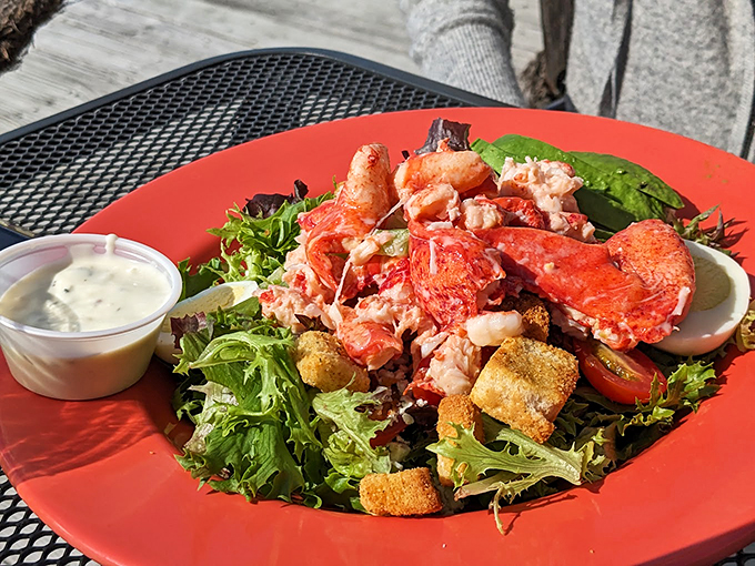 Garden-fresh greens crowned with generous chunks of lobster - because sometimes luxury needs a healthy excuse.