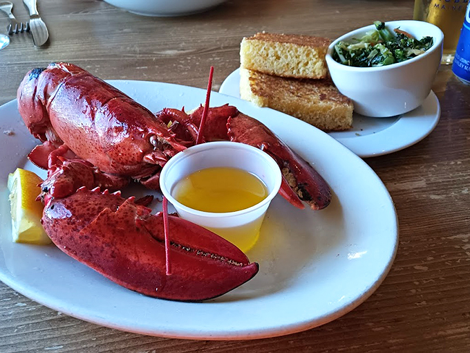 Meet your dinner date: A perfectly steamed Maine lobster that needs no introduction, just drawn butter and determination.