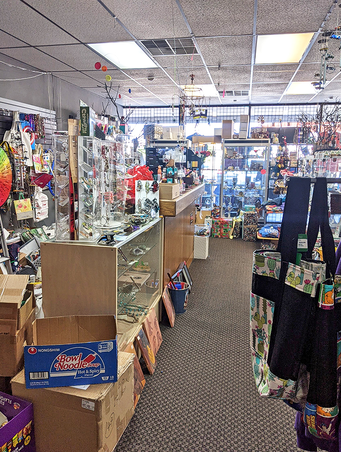 An aisle that feels like a museum of modern curiosities, where every shelf holds a potential treasure. 