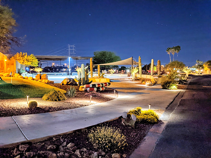 As night falls, the desert comes alive. This illuminated walkway transforms the campground into a magical, starlit wonderland. Photo credit: Nicole Short