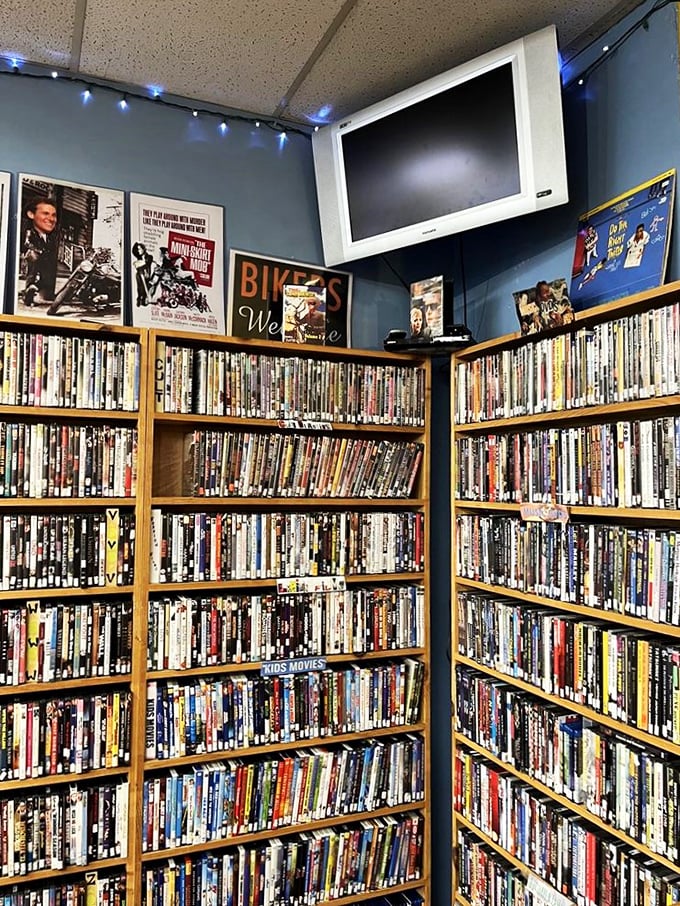 Cinema paradise! From blockbusters to art house darlings, this celluloid smorgasbord is a feast for film buffs.