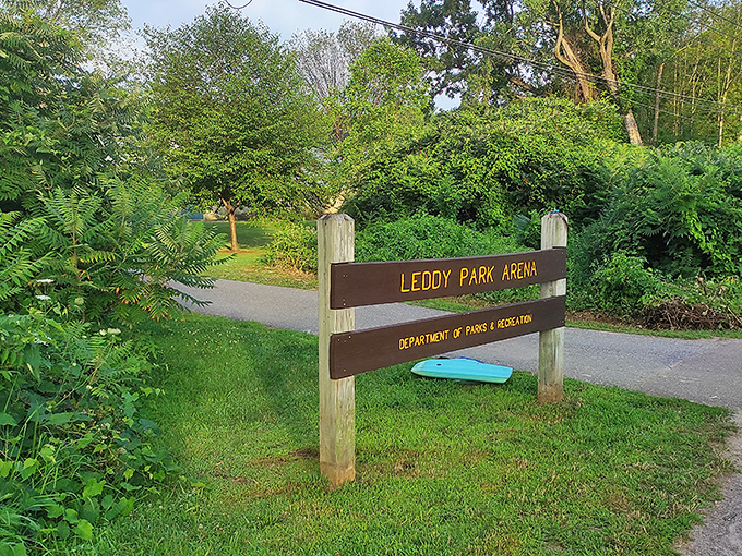 Where dreams of Olympic glory are born, or at least where you can pretend you're in "Blades of Glory" for an afternoon.