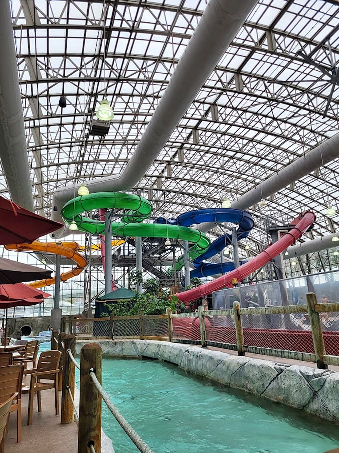 A perfect blend of thrills and chill: The lazy river meanders below while adventure awaits in the slides above.