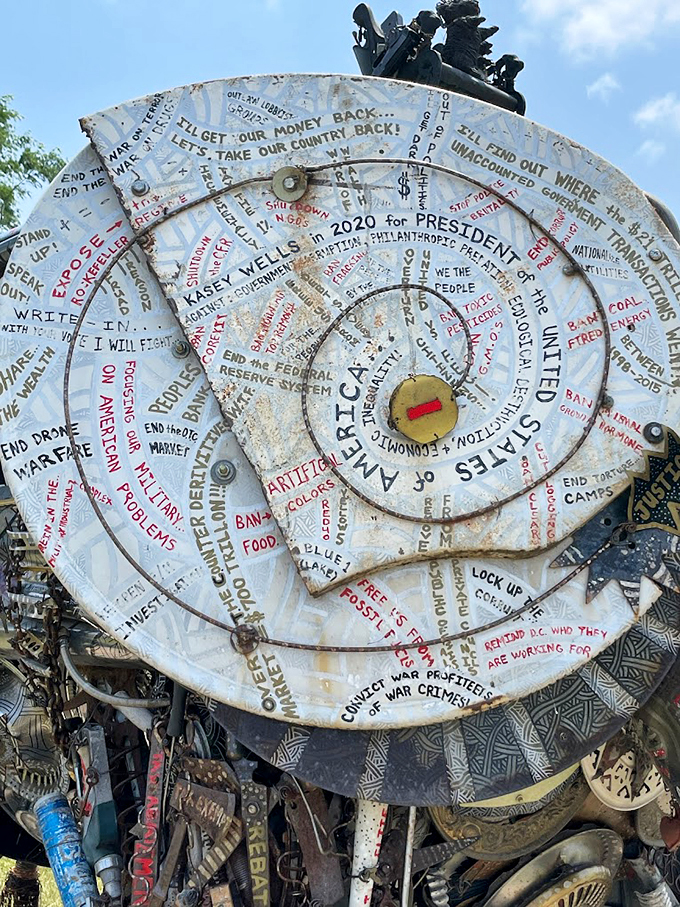 These disc-shaped ears aren't just for show - they're covered in spiral messages about American politics and society.