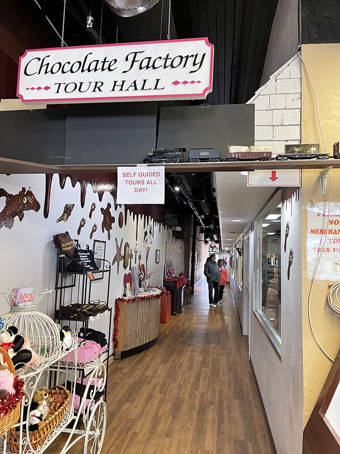 Tour Hall All aboard the Chocolate Express! This tour hall is your golden ticket to witnessing confectionery magic in action.