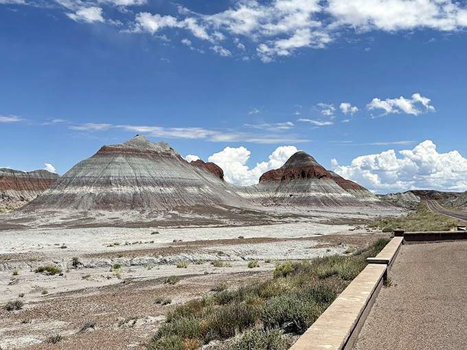 Follow the yellow brick road? Nah, this winding trail through an alien landscape is way cooler than anything in Oz.