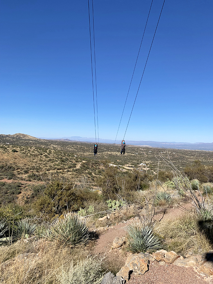 Defying gravity and conquering fears! These zipliners are writing their own high-flying Arizona adventure stories. Photo credit: A M