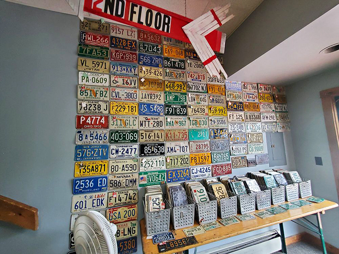 A road trip through time, displayed one license plate at a time. Each tells a story of adventures past.