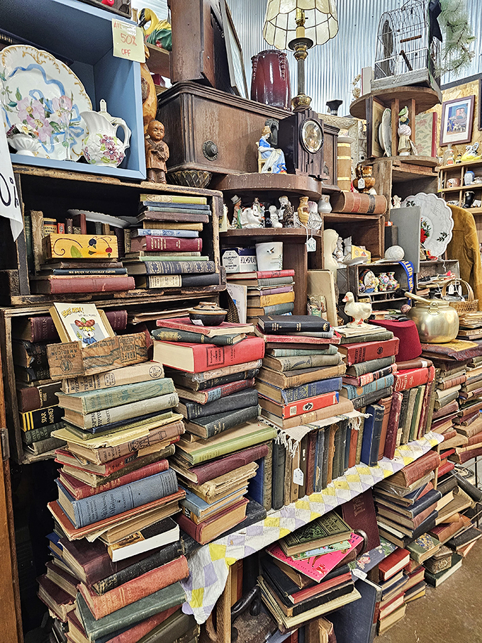 Books, books, and more books! It's like a library had a wild night out with a thrift store. Literary treasures await the curious reader.