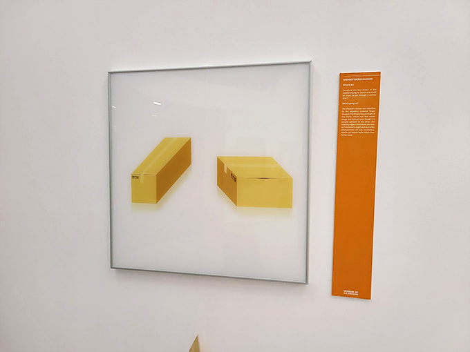 Are these boxes having an identity crisis? One minute they're long, the next they're short. It's like watching a magic show where the magician is your own brain!