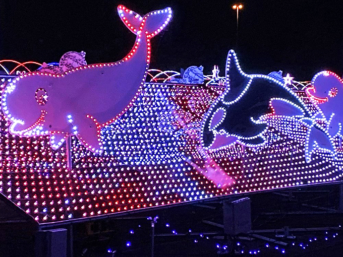 Dolphins leaping through waves of light &ndash; it's an aquatic acrobat show, minus the splashing! Keep your windows rolled up just in case.