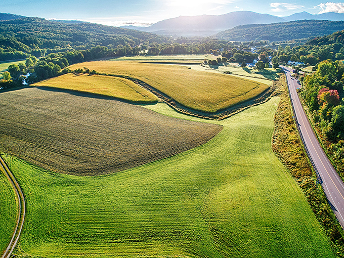 Mother Nature's amphitheater, with vines as the audience and mountains as the backdrop. This view alone is intoxicating&mdash;the wine is just a bonus!