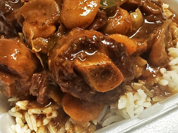 Fall-off-the-bone fantastic! This oxtail stew is so rich and comforting, it's like a warm hug for your stomach.