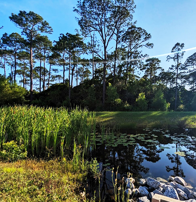 Pines, palms, and pure tranquility. This park is like a greatest hits album of Florida's natural beauty, minus the pesky gators.