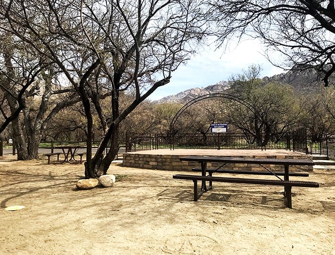 Desert dining al fresco: where your picnic comes with a side of epic views. Just remember, the ants here might be wearing tiny sombreros.