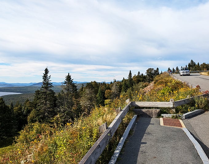 Observation deck or nature's balcony? Either way, it's the best seat in the house for Earth's greatest show.