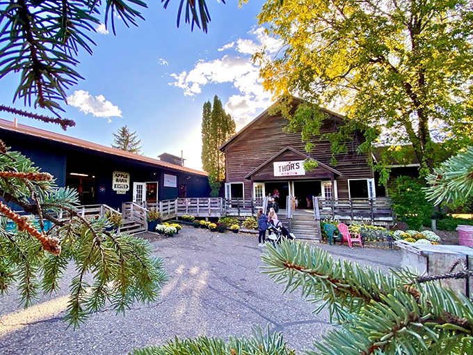 Where Thor meets Johnny Appleseed! Aamodt's Apple Farm is a slice of Scandinavian charm nestled in the heart of Minnesota's orchard country.