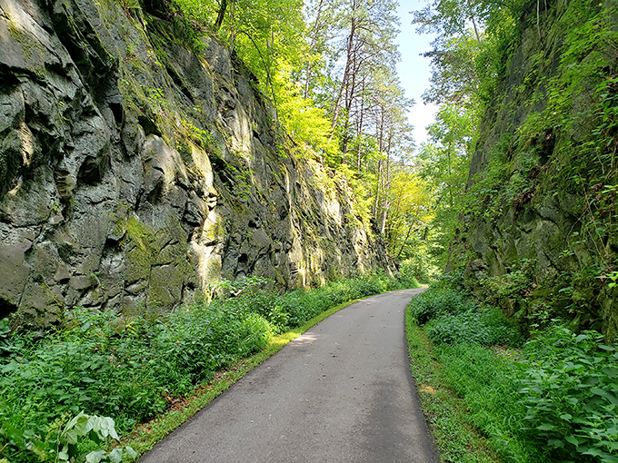 Where the Licking River got creative with erosion. It's like walking through a geology textbook, but way more fun.