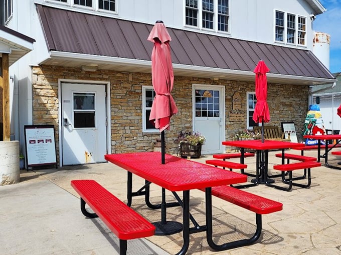 Where cheese reigns supreme, rain or shine! This cozy spot proves that in Wisconsin, every season is cheese season.