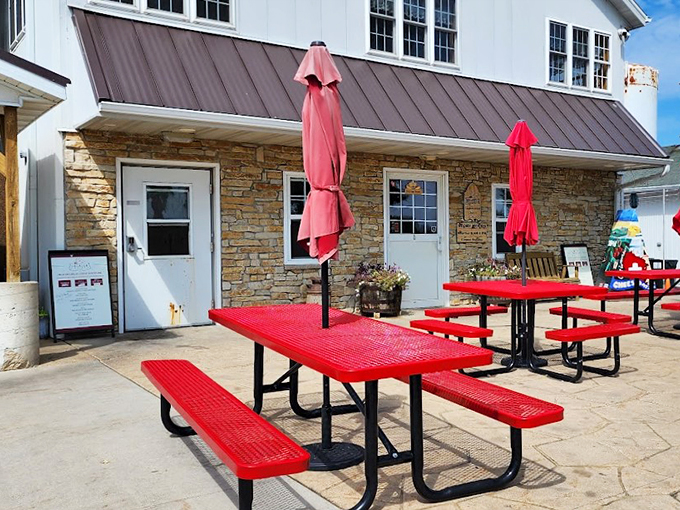 Where cheese reigns supreme, rain or shine! This cozy spot proves that in Wisconsin, every season is cheese season.