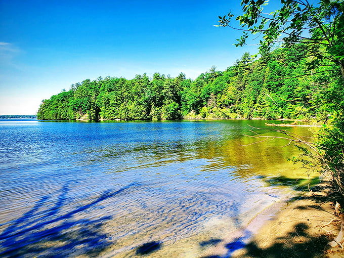 Niquette Bay: Lake Champlain's secret clubhouse, where beaches and forests play hide-and-seek.