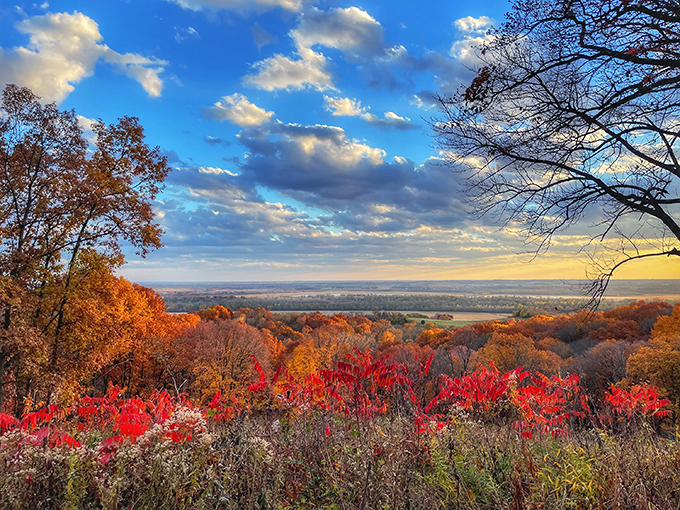 Fall colors so vibrant, they'll make your eyes pop like a cartoon character. Nature's own fireworks display, minus the loud noises. 