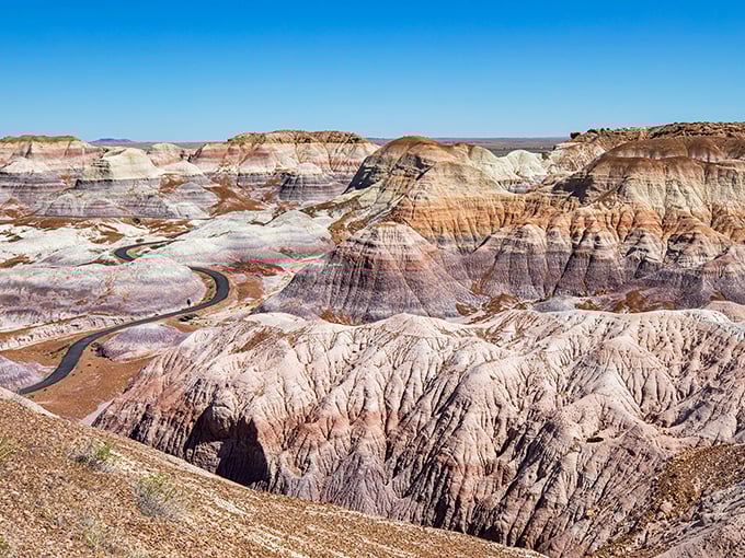 Where wood goes to turn into rainbow-hued stone. It's nature's long-term art project, millions of years in the making.