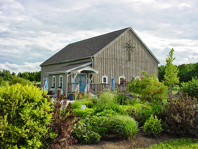 Sarah's Vineyard: Where art meets agriculture. This barn-turned-winery is a masterpiece of Midwest ingenuity. Van Gogh would approve.