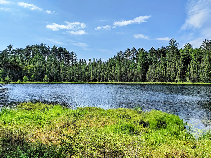 Where history and nature intertwine, creating a tapestry richer than any museum exhibit.