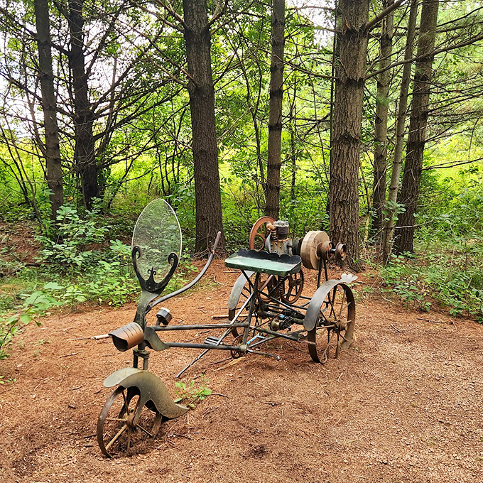 Nature's art gallery, where the exhibits change with the seasons and the whims of local artists.