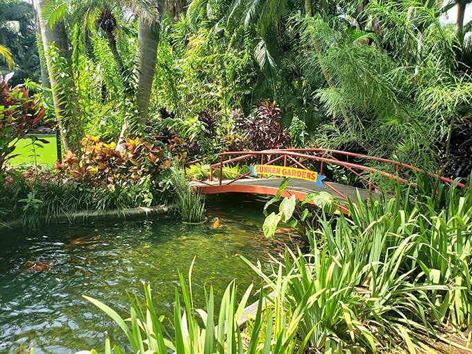 Tropical tunnel vision! This lush pathway's like a green carpet rolled out by Mother Nature herself.